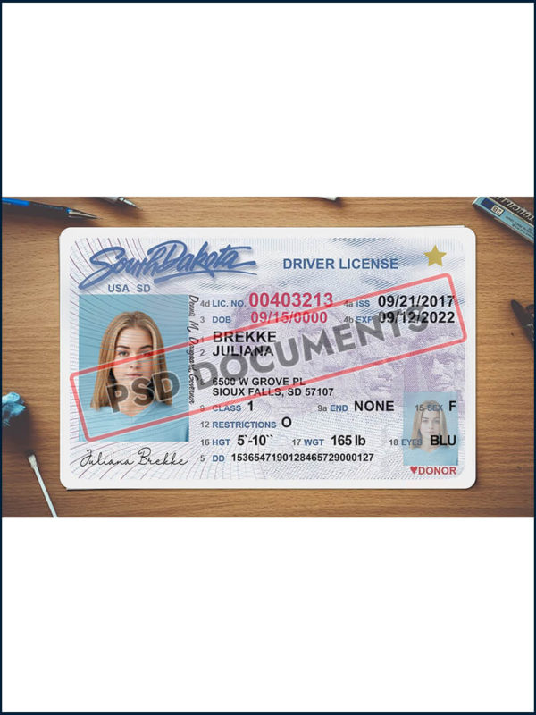 South Dakota Driver License PSD Template | PSD Documents
