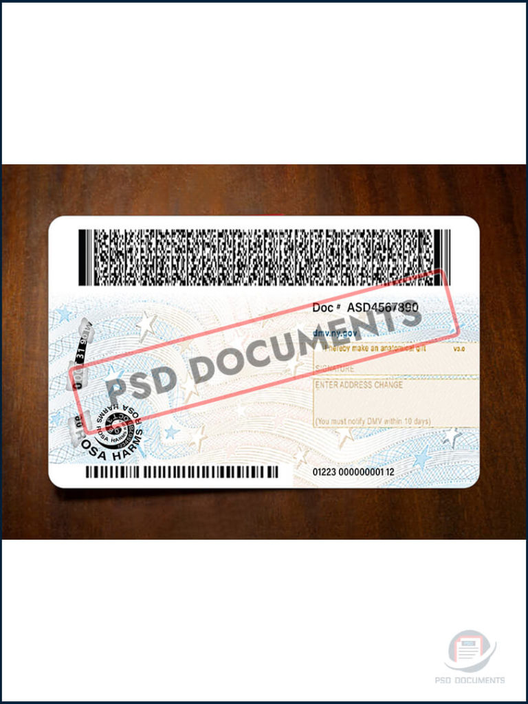 New York Driving license PSD (V2) | PSD Documents