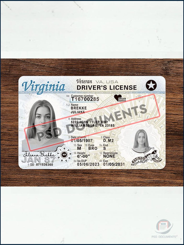 Virginia Drivers License PSD Template (V2) | PSD Documents