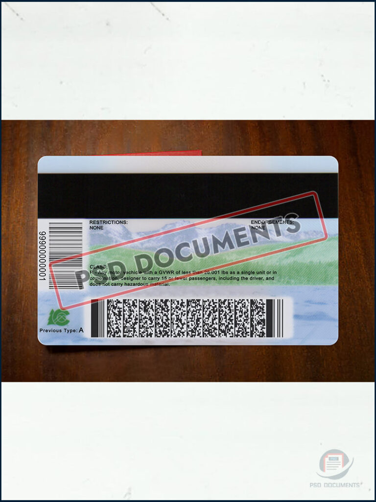 Colorado Driving License Template New (V2) | PSD Documents